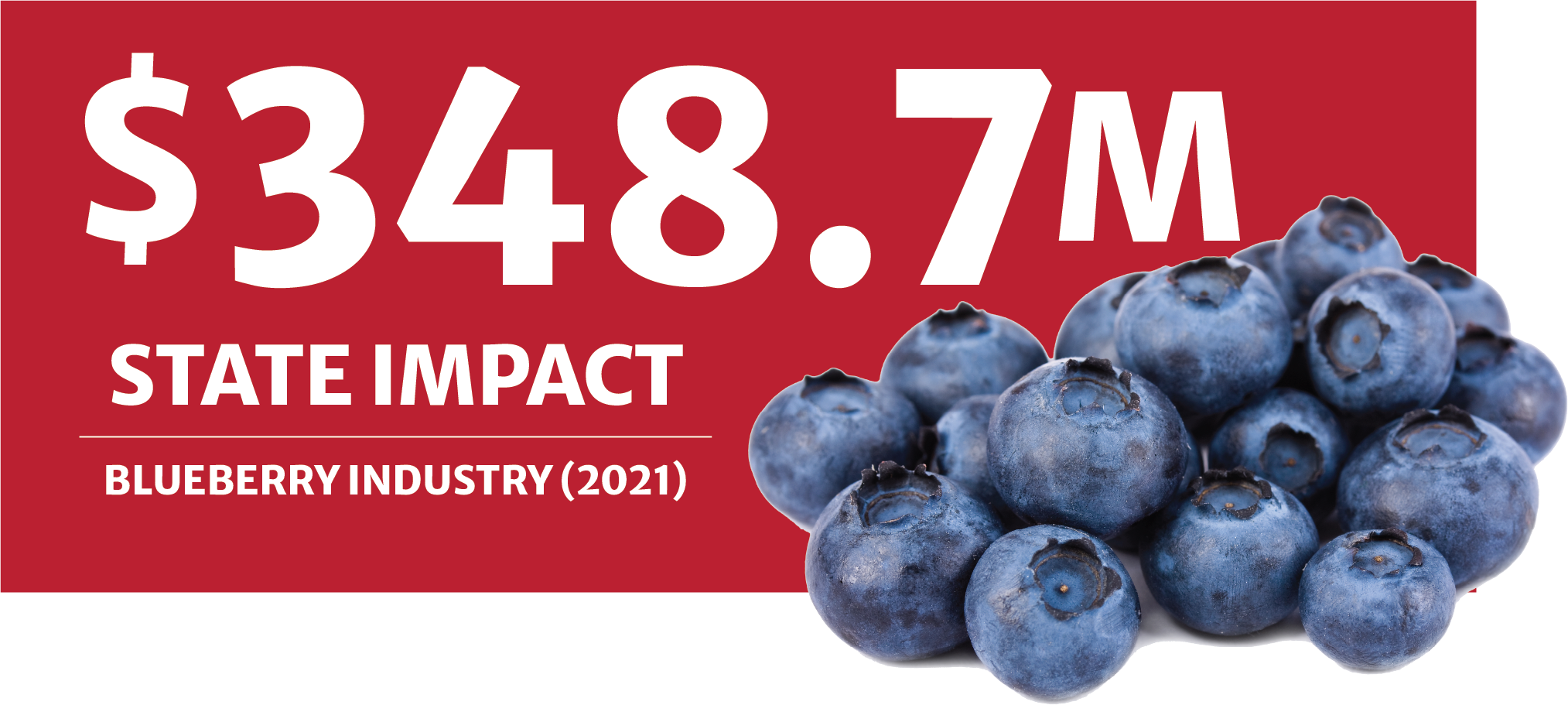 The Rise of the Georgia Blueberry - We Are GA